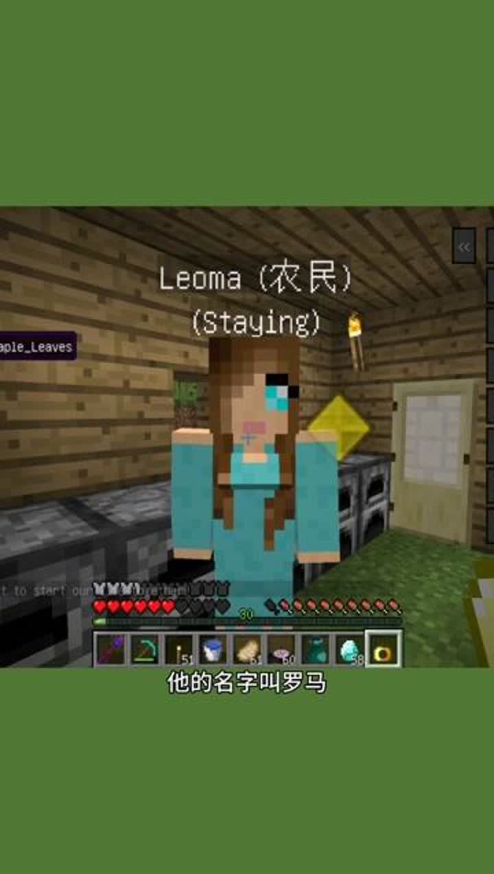 叶枫我的世界:娶媳妇喽,生了个闺女