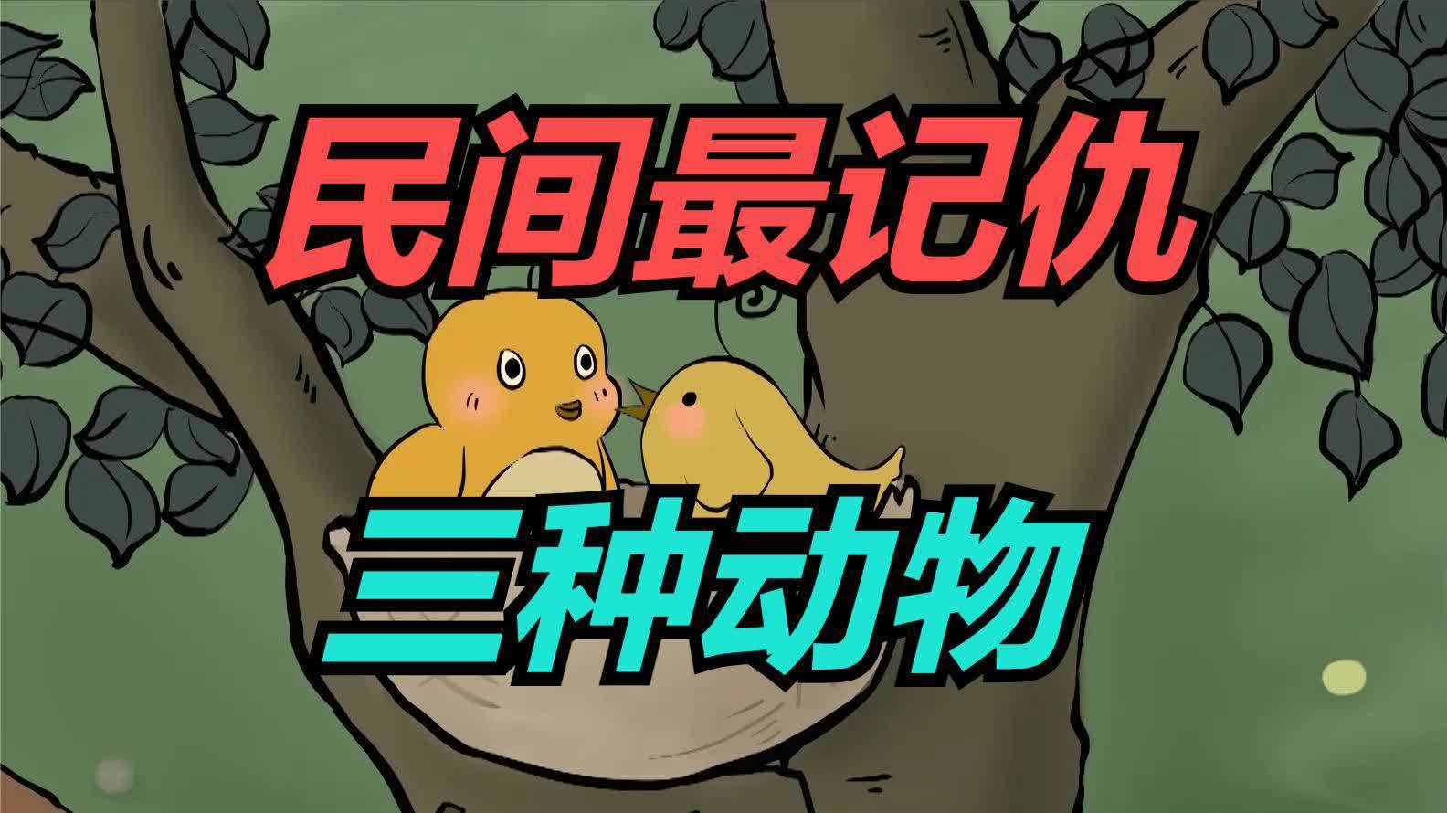 传说会记仇的3种动物,是不是真的?没事可别招惹了!