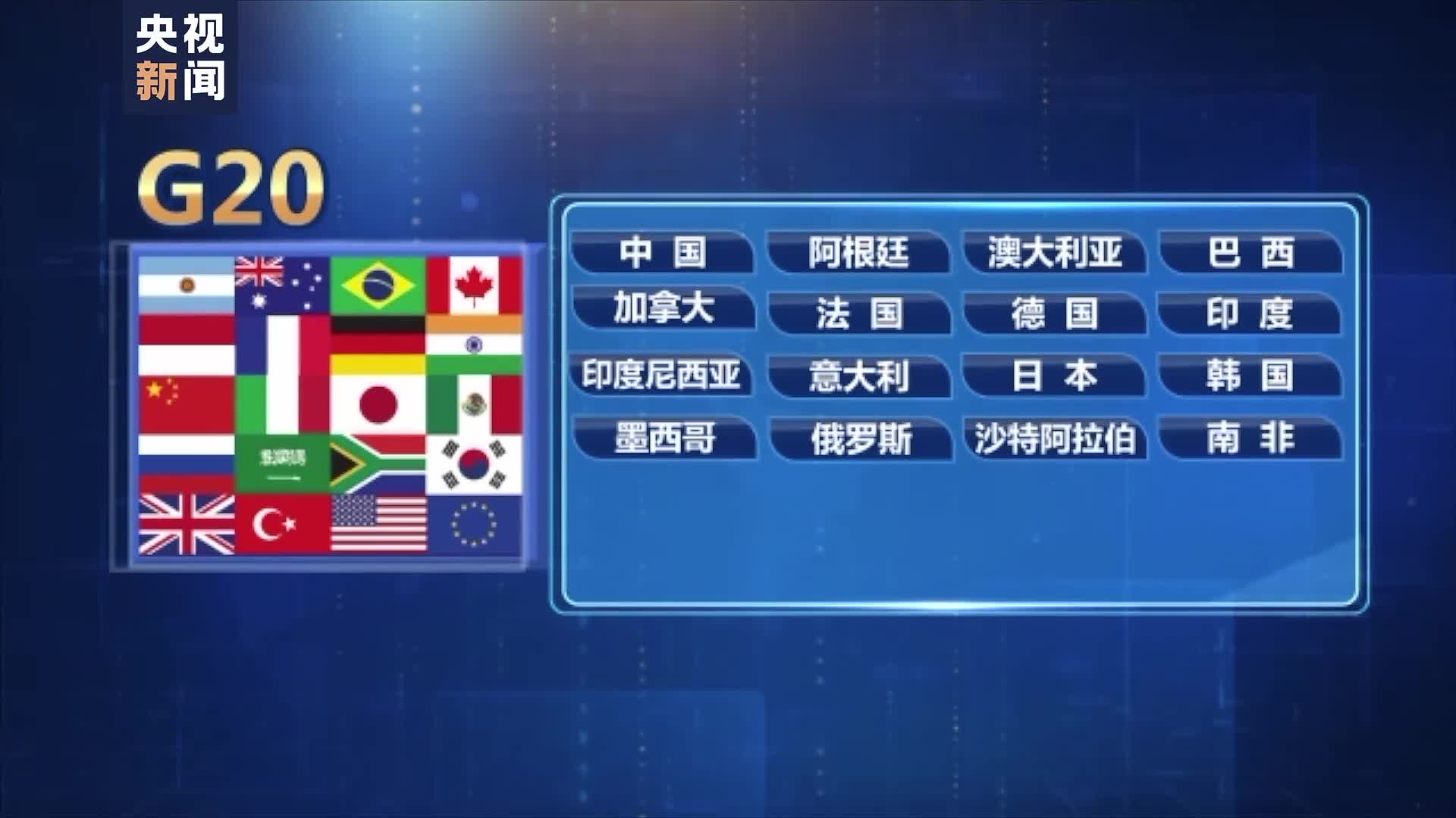 G20是个什么样的组织