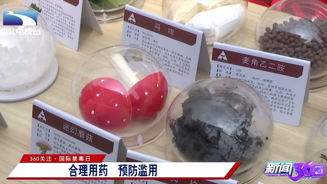 武汉国际禁毒日宣传会,倡导群众合理用药,预防滥用