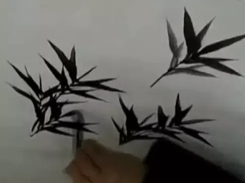 美术入门基础教程 国画水墨画工笔画 绘画技法教程