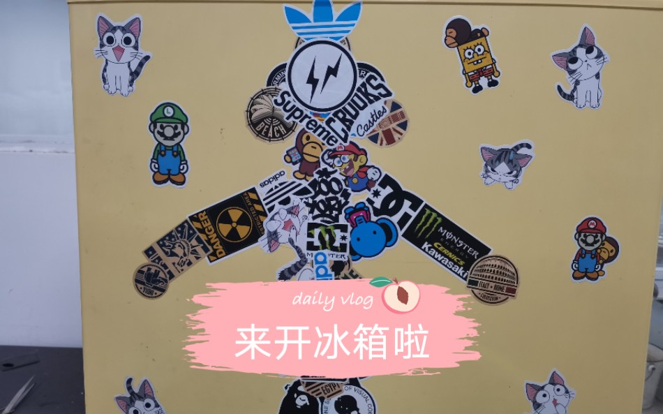 每天在实验室里最治愈的事情就是翻冰箱啦