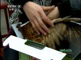 绿色时空 2011-05-01