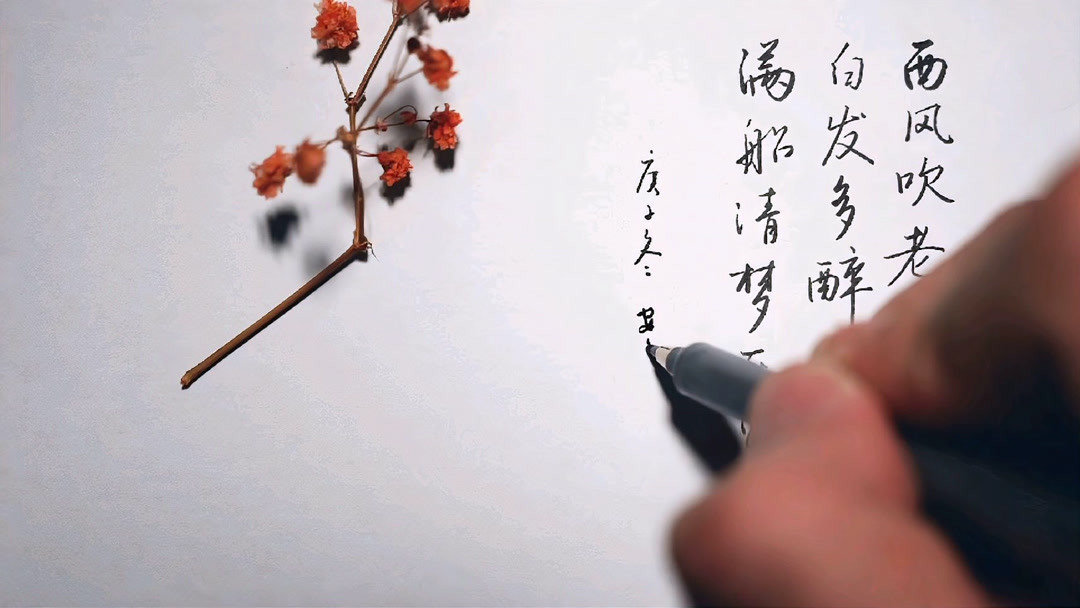 醉后不知天在水,最喜欢的一句诗,硬笔书法行书,秀丽笔