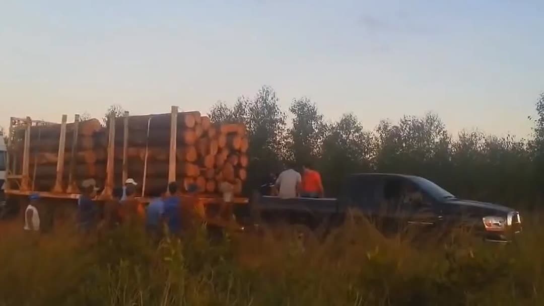 皮卡才是最强动力,拉着货车到处跑!