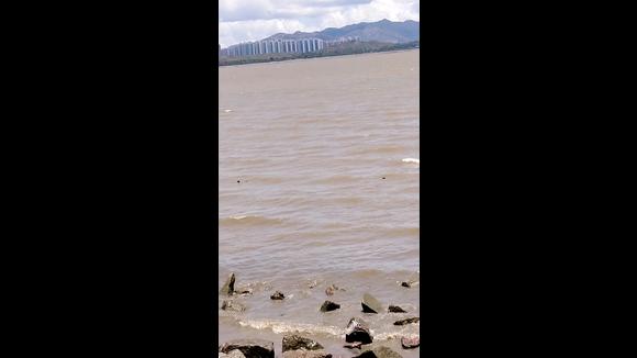 茫茫大海, 潮起潮落; 人生何不, 也是如此。