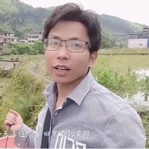 山野云哥 