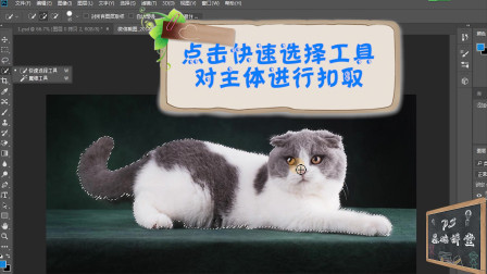 PS基础讲堂之如何让扣取动物毛发