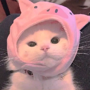 桃礼丶 