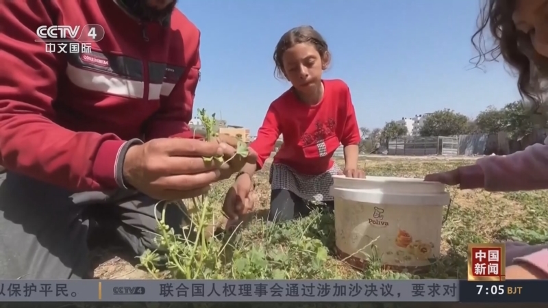 [中国新闻]世界粮食计划署:加沙地带每个人都在挨饿