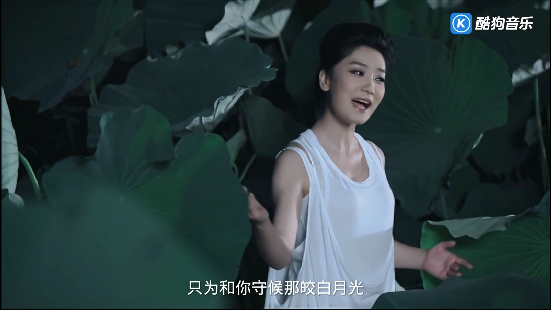 荷塘月色-凤凰传奇