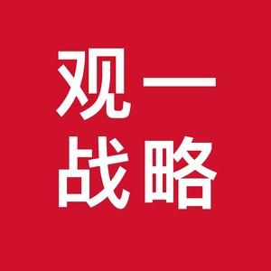 观一战略 