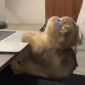 宇呵-_- 
