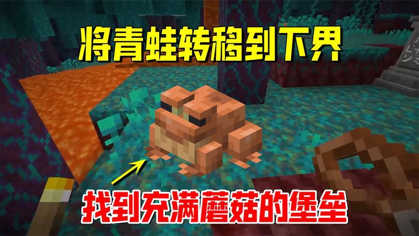 我的世界1.19联机81:将青蛙转移到下界,我找到充满蘑菇的堡垒