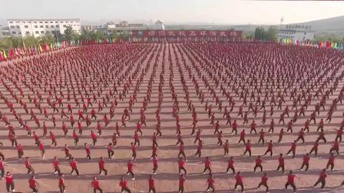 塔沟武校万人演练少林拳,气势恢宏场面大气,老外看到会不会说是特效?