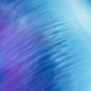 DK死神（kliier） 