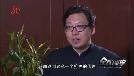 传说红豆杉能抗癌是空穴来风还是确有其事?