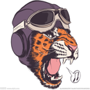 你追我赶动物场 