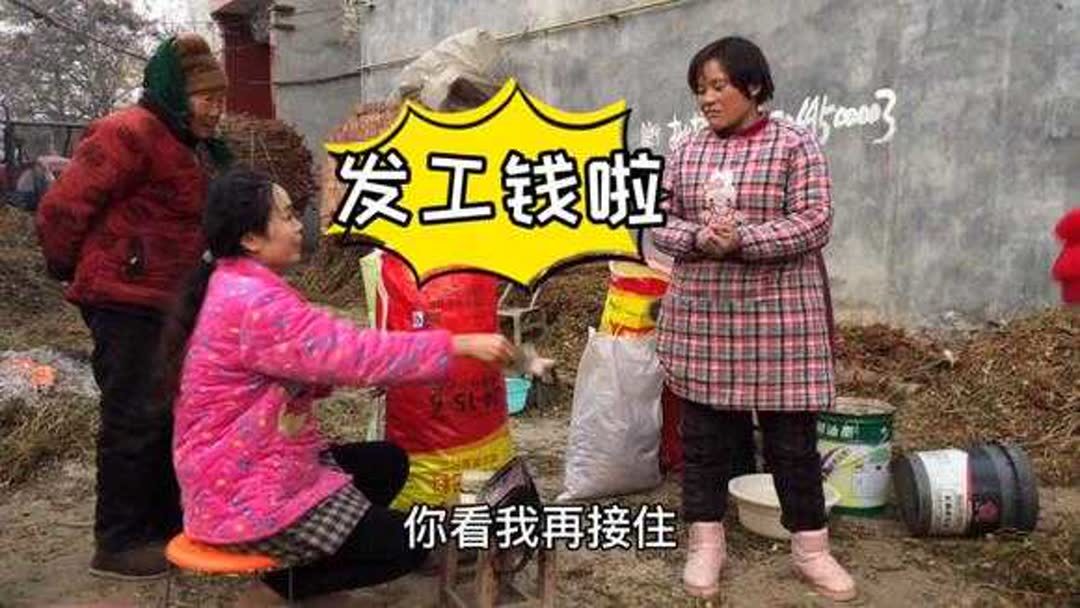 小徐挑大梁充当会计发工钱,摘一天辣椒赚二三十块钱,不多也少不