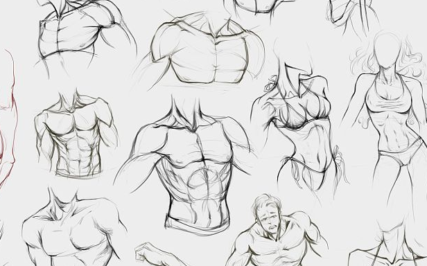 人体结构基础教程之人体骨架的认识|动漫人物设计教程|动画人物设计...