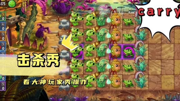 植物大战僵尸无尽模式