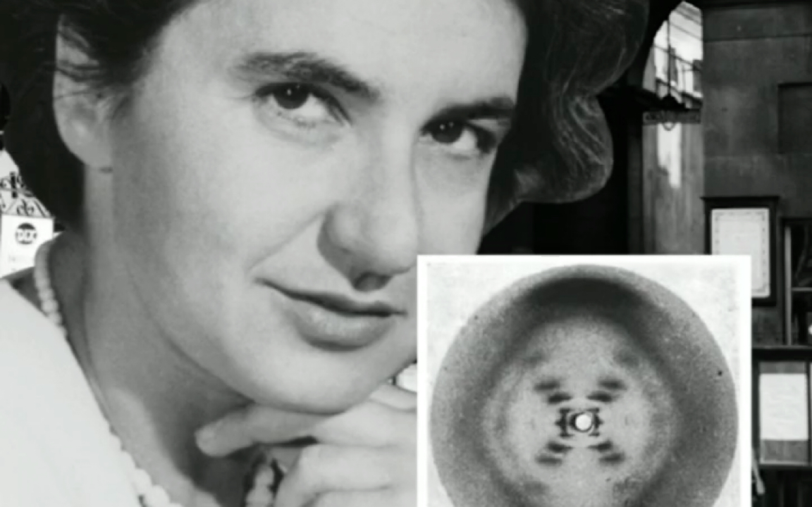 dna结构的首位发现者是女性Rosalind