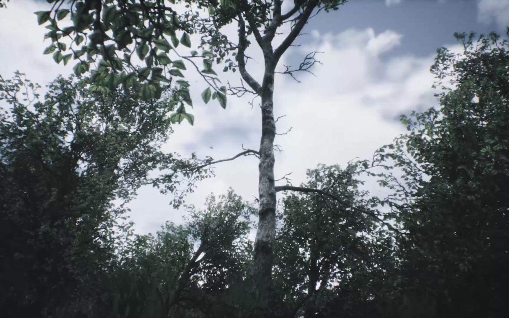 【虚幻4】森林峡谷场景(附下载)