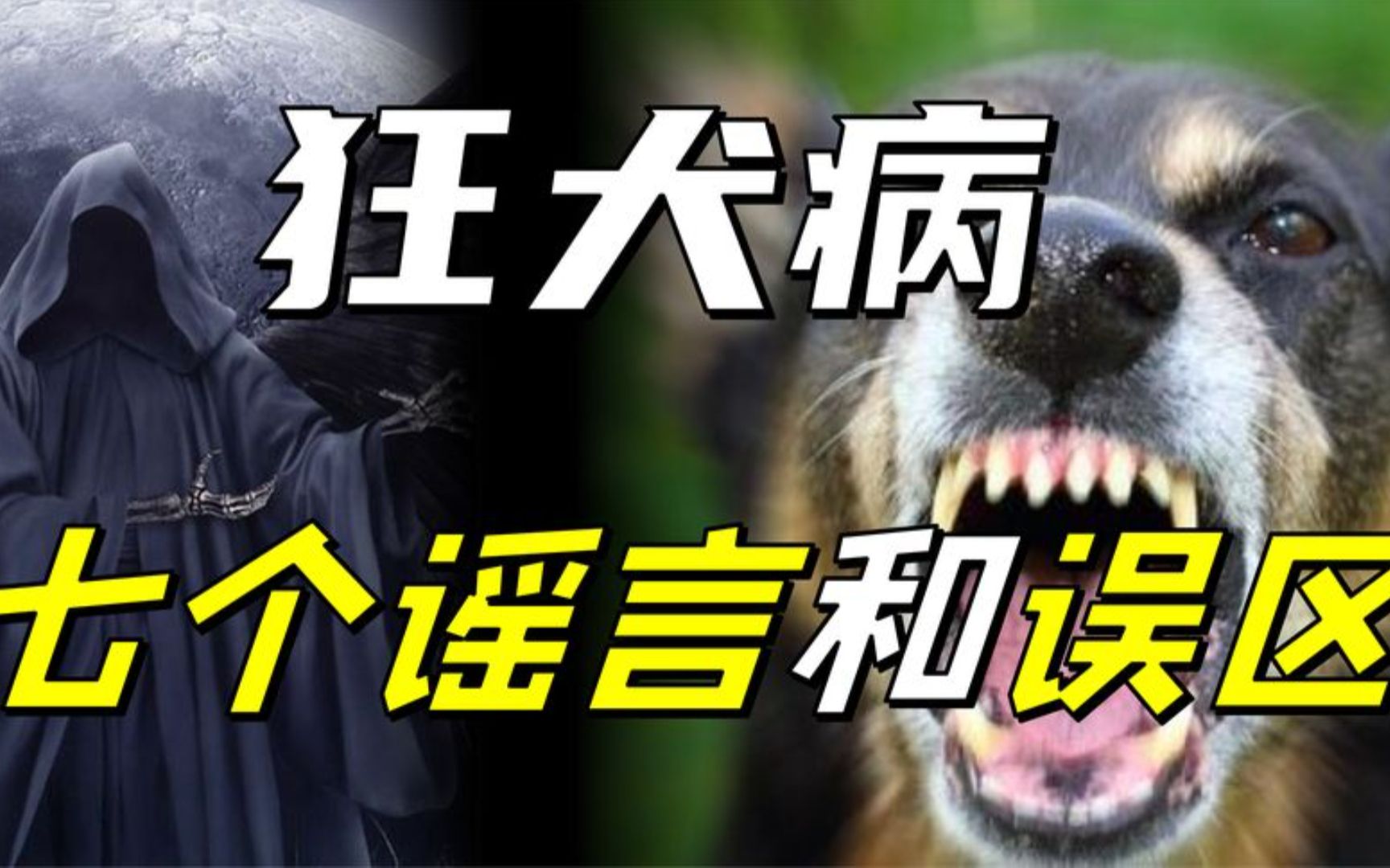 被狗咬了,没出血,要打疫苗吗?关于“狂犬病”的七个谣言和误区