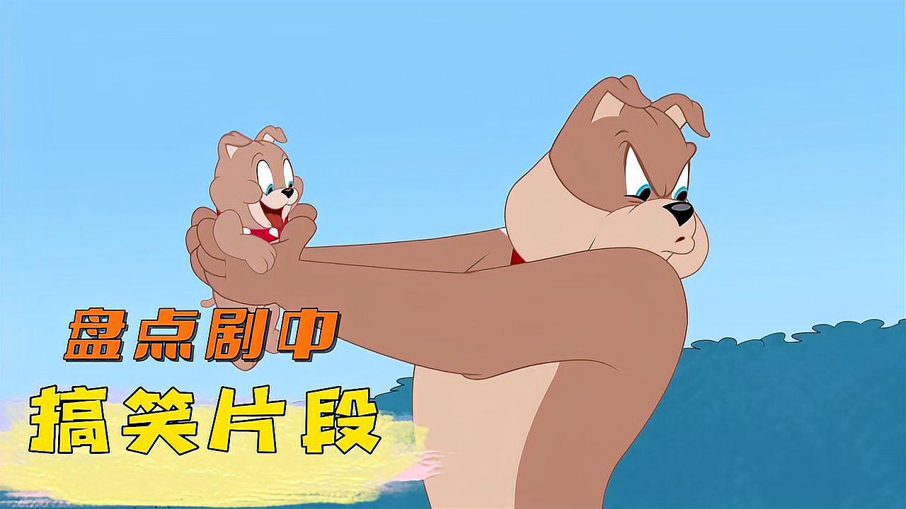 猫和老鼠:盘点搞笑片段,汤姆救下小狗还遭打,真是太可怜了