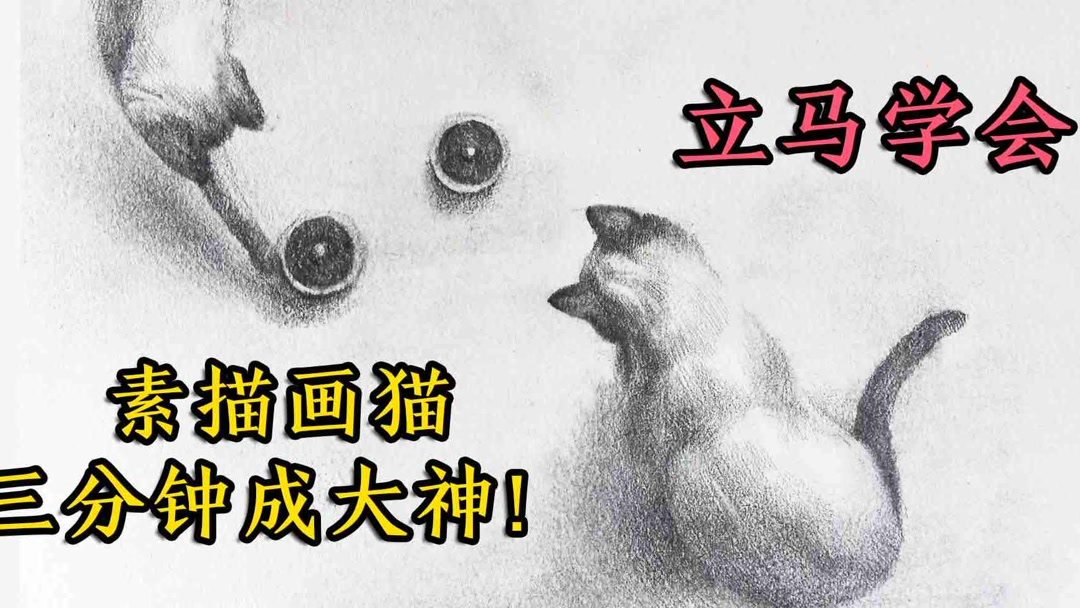立马就能学会素描画猫的方法!【三分钟成大神】