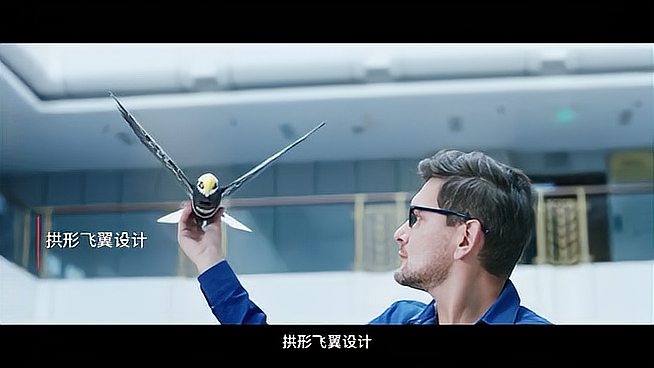 智能仿生扑翼飞行器,GoGoBird1000系列新品发布宣传视频
