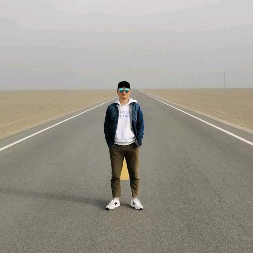 广东鱼先生 