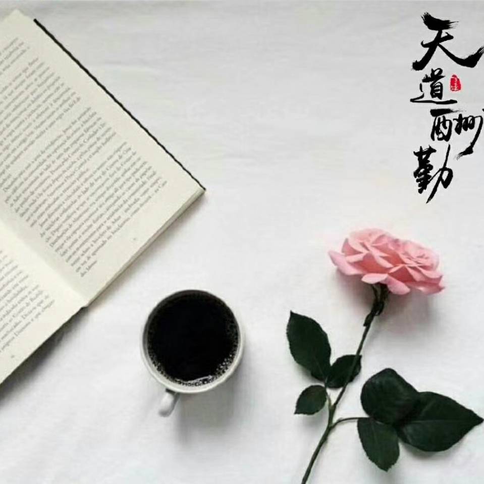 做电商de吴先生 