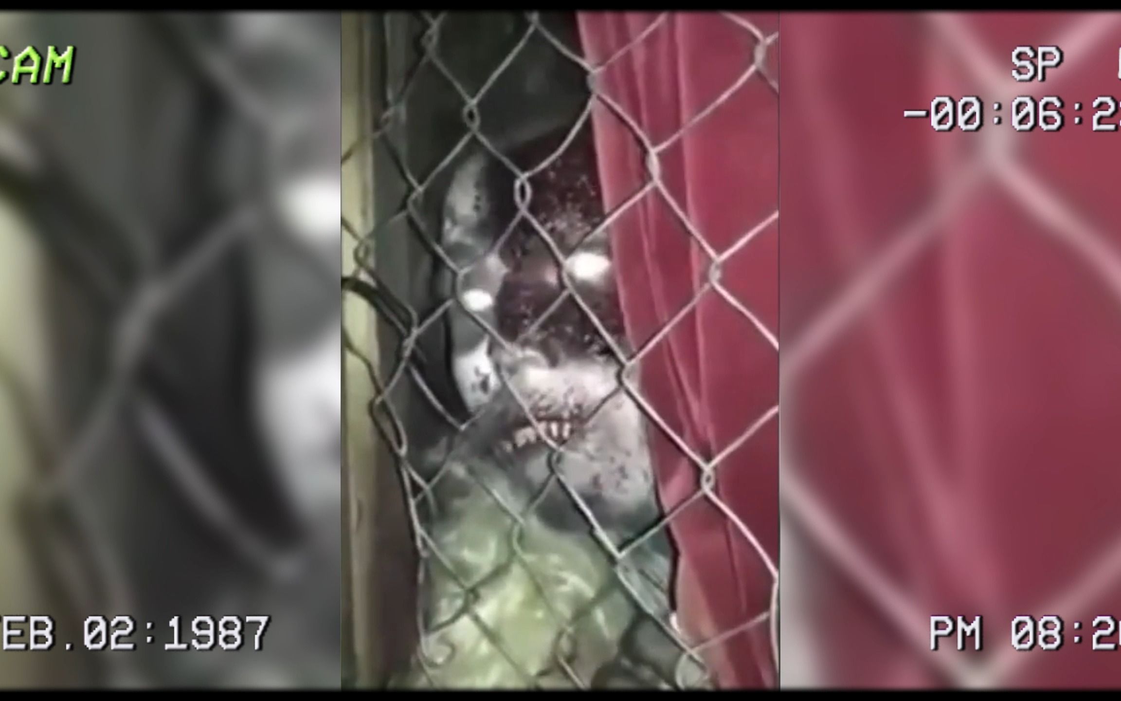 极其诡异的三段真实录像!