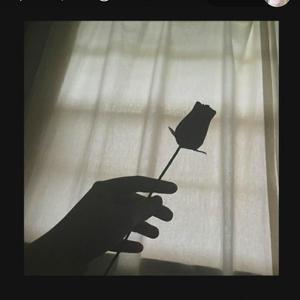 奥数精彩视频分享 