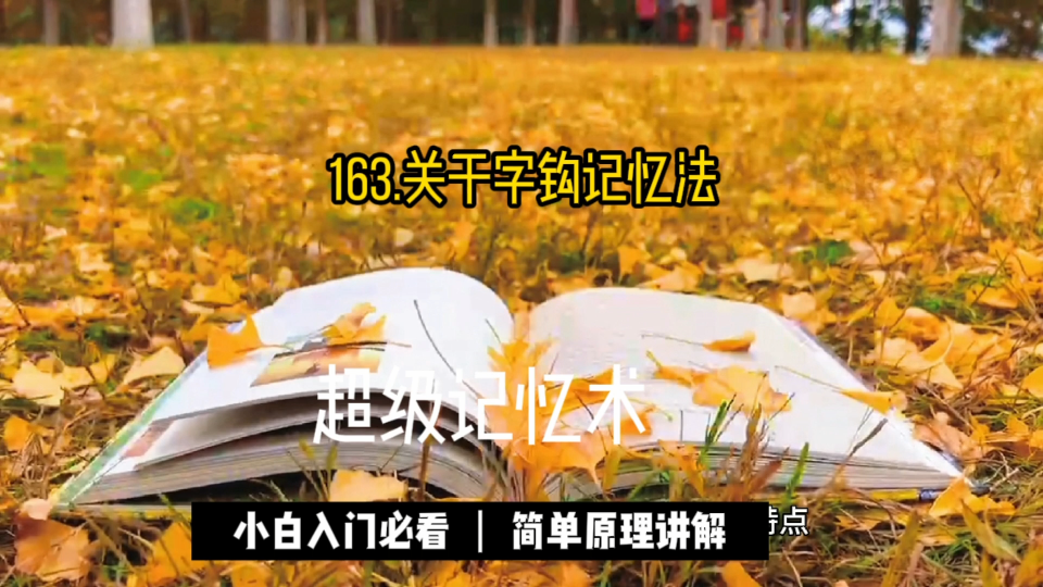 163.关于字钩记忆法 字钩记忆法主要用于记忆许多抽象的词、词组和...