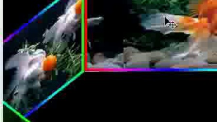 沙柳老师ps动画〈六方旋转相册〉