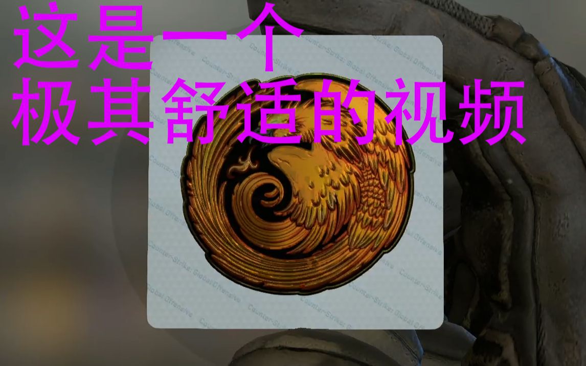 【CSGO】这是一个极其舒适的视频…