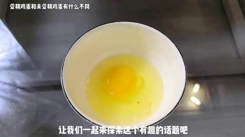 你知道受精鸡蛋和未受精鸡蛋的区别吗?带你一起去揭秘!