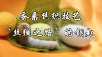 蚕桑丝织技艺,开启“丝绸之路”的钥匙,对中国历史有重大贡献!