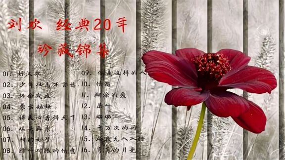 刘欢【千万次的问/好汉歌/少年壮志不言愁/弯弯的月亮】经典老歌