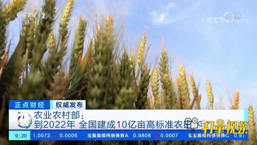 农业农村部:到2022年全国建成10亿亩高标准农田|正点财经