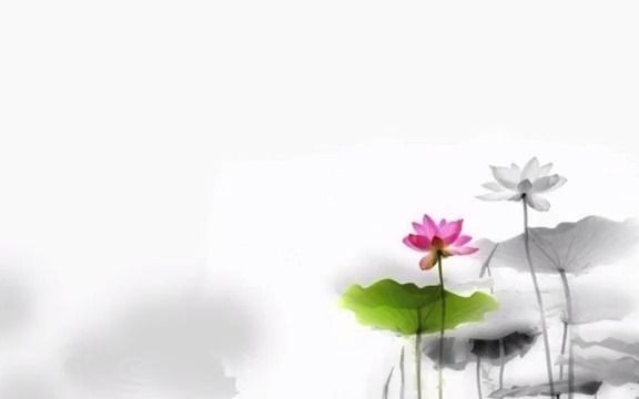 山东中医药大学 - 中国传统节日与养生文化