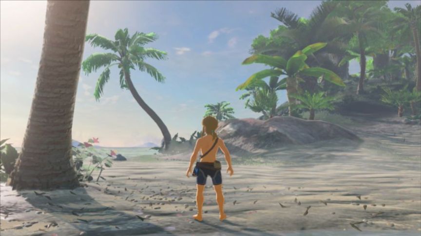 【某某阳】《塞尔达》荒岛试炼速通3分43秒邪道速通 #P2