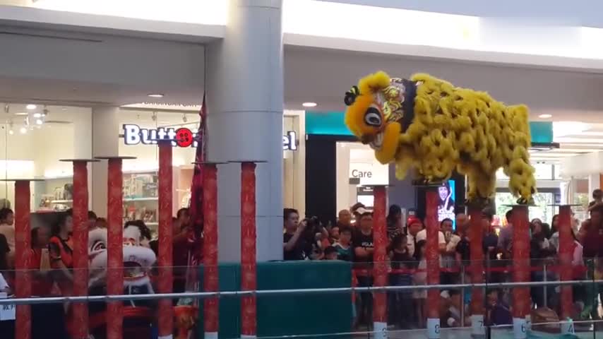 舞狮比赛视频欣赏,高桩舞狮表演视频