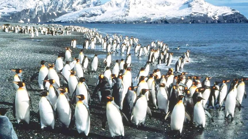 科普:究竟是南极冷还是北极冷?