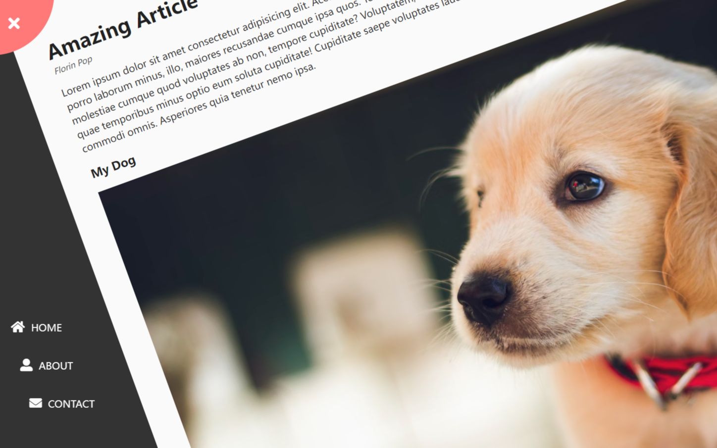 50个js动画小项目(3)- Rotating Navigation