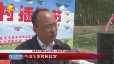 辽宁:我省水稻插秧工作陆续展开