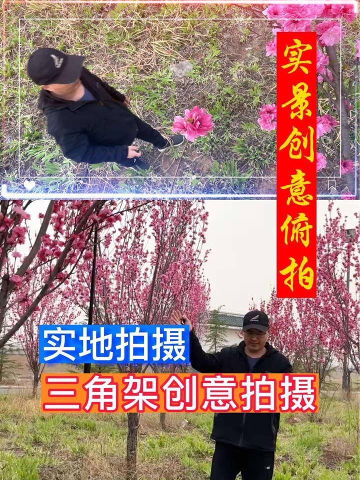 全地形三脚架,俯拍实景展示,模拟无人机效果#手机支架自拍杆拍摄 #...