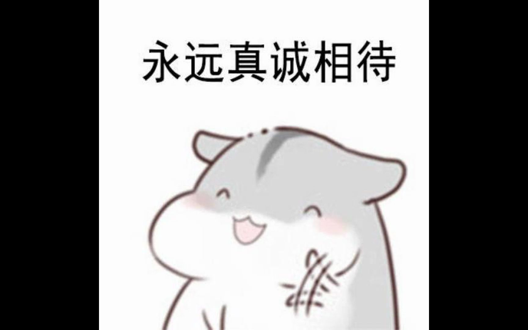 闲聊视频 我与大学生志愿者的故事